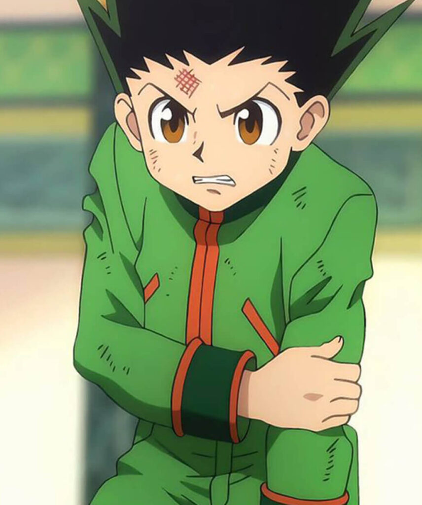 Gon Freecss Hunter x Hunter Green Jacket