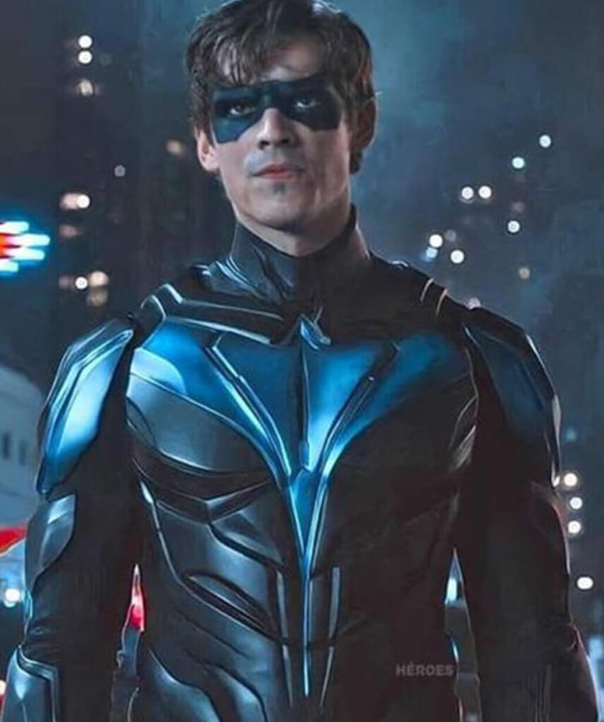 Nightwing The Series Dick Grayson Black Leather Jacket
