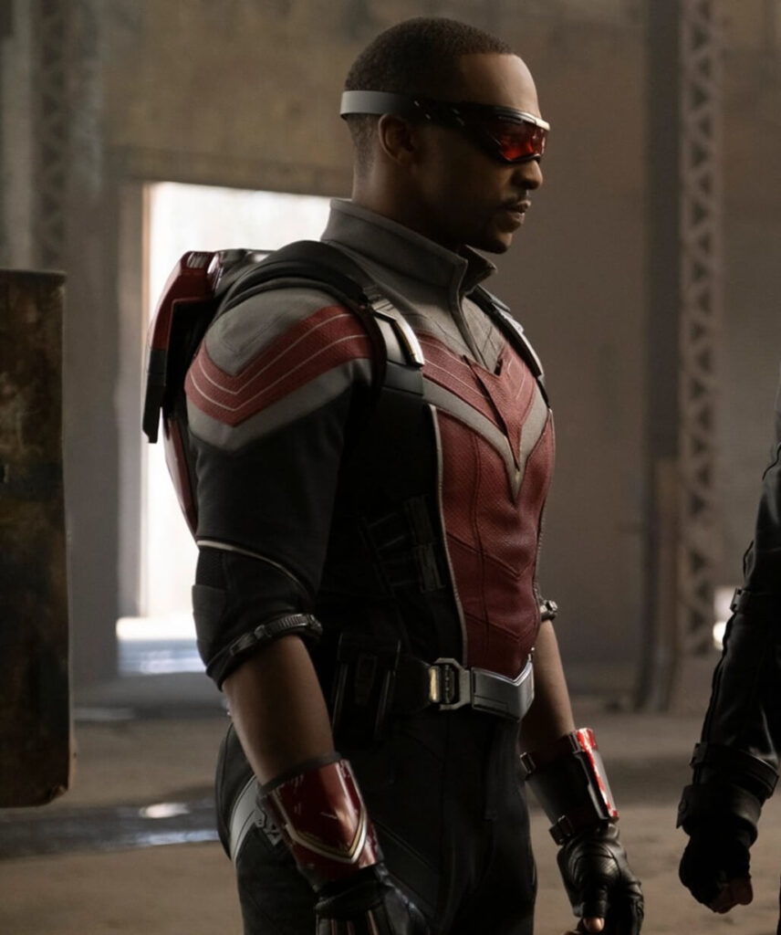 The Falcon and the Winter Soldier Sam Wilson Costume Jacket