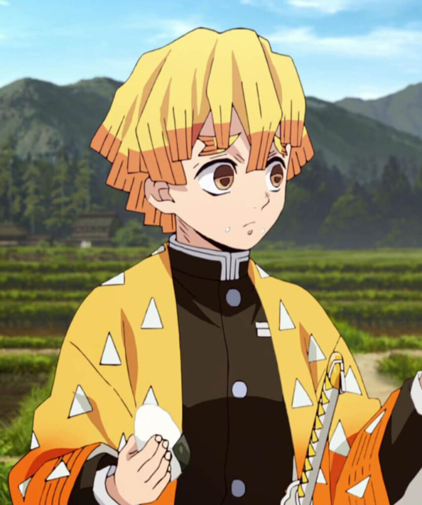 Demon Slayer: Kimetsu no Yaiba Zenitsu Agatsuma Orange Coat